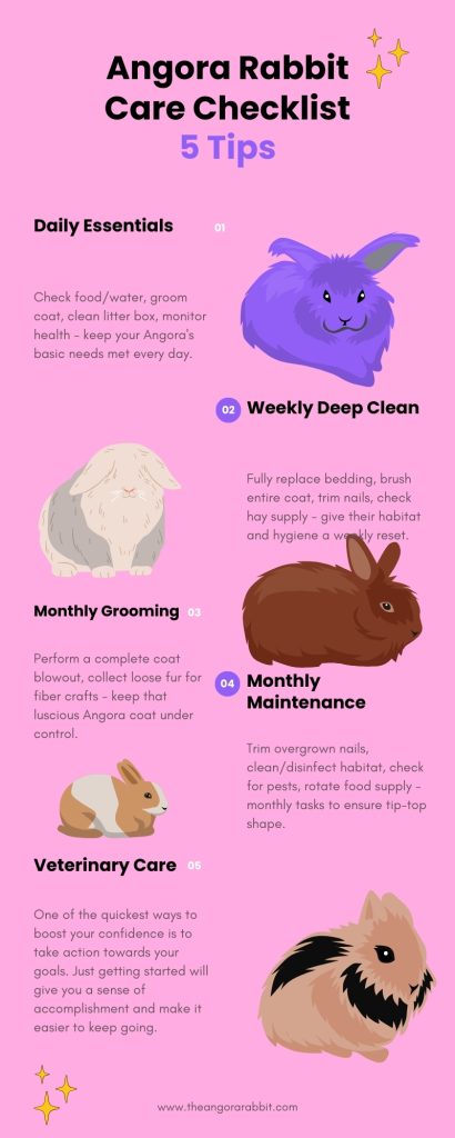 Angora Rabbit Care Tasks: Daily, Weekly, Monthly