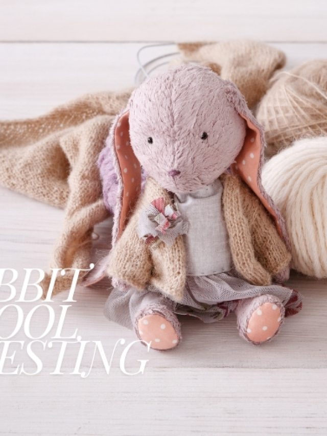 The Basics of Angora Wool Harvesting for Beginners: A Comprehensive ...