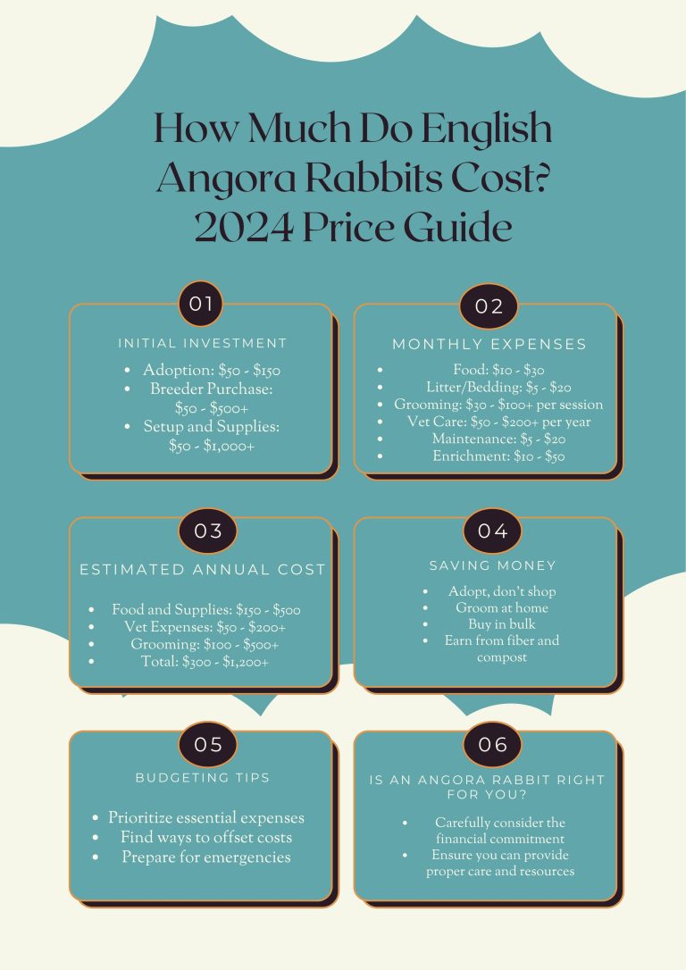 The True Cost of Owning an Angora Rabbit: 2024 Price Guide