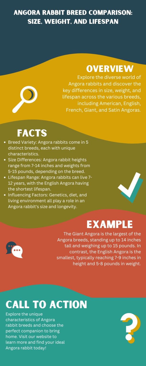 Angora Rabbit Breed Comparison