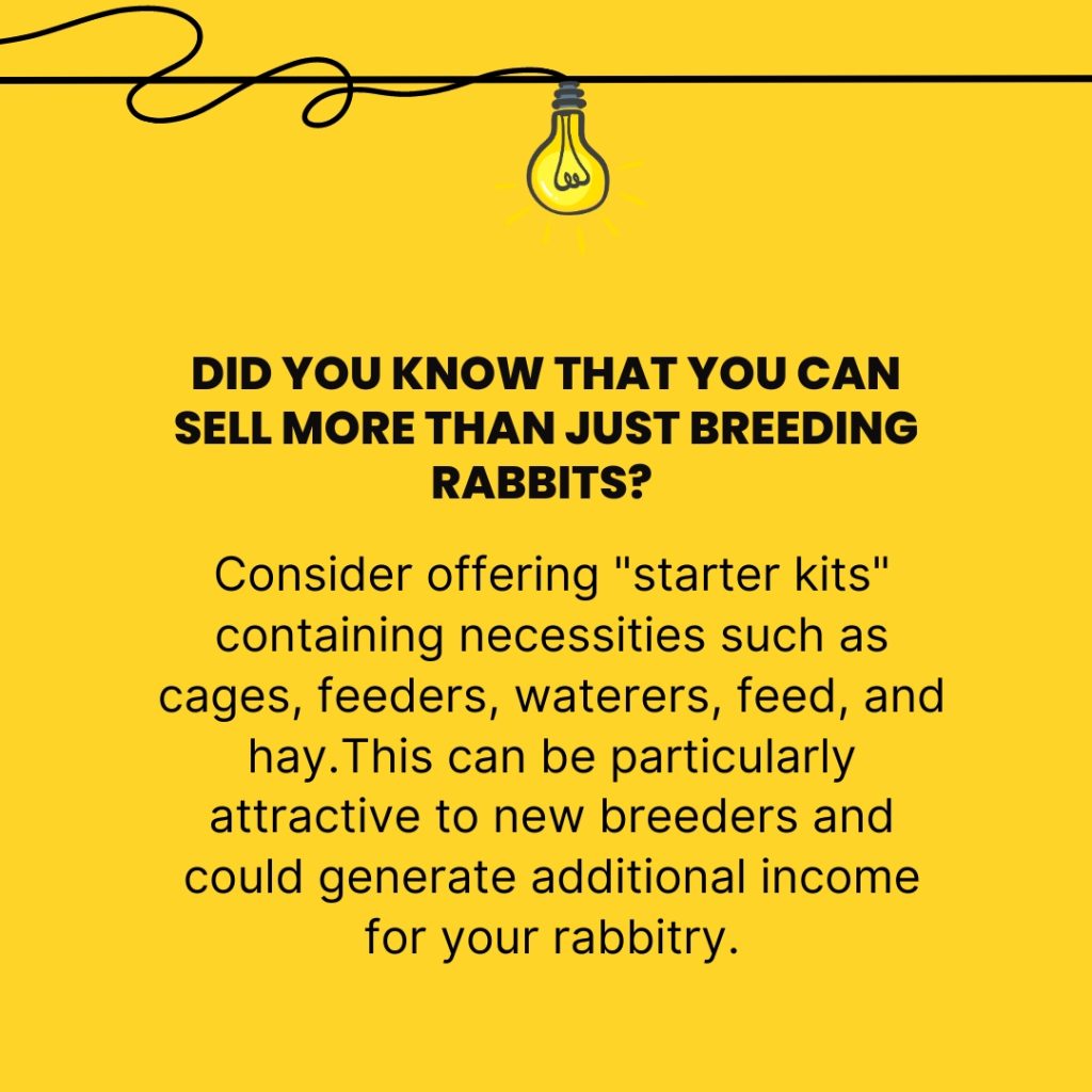 Successful Angora Rabbit Breeding Stock Marketing and Sales