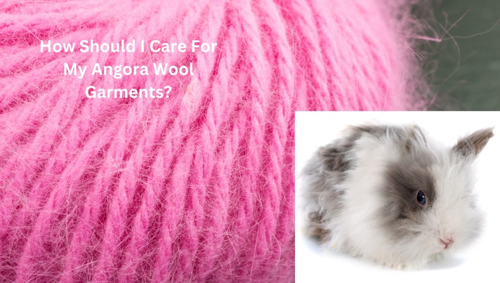 The Angora Rabbit - All About Angora Rabbits