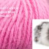 English Angora Rabbit Colors: Genetics, Show Variations & Wool Types